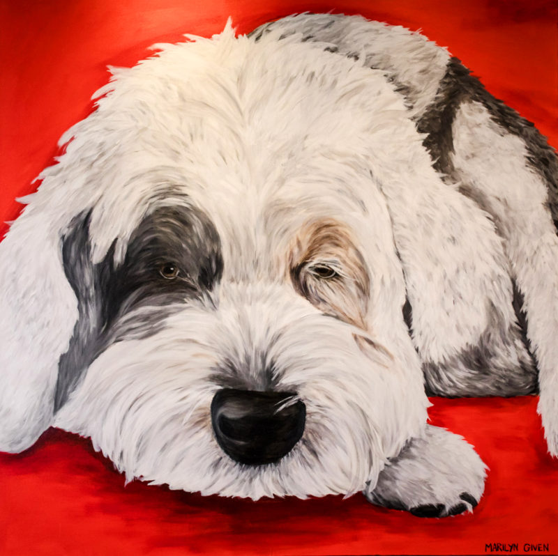 Dr. Given’s Art Gallery | Railway Avenue Dental in Airdrie